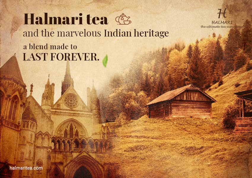 History of Tea in India from the Golden Pages of Halmari