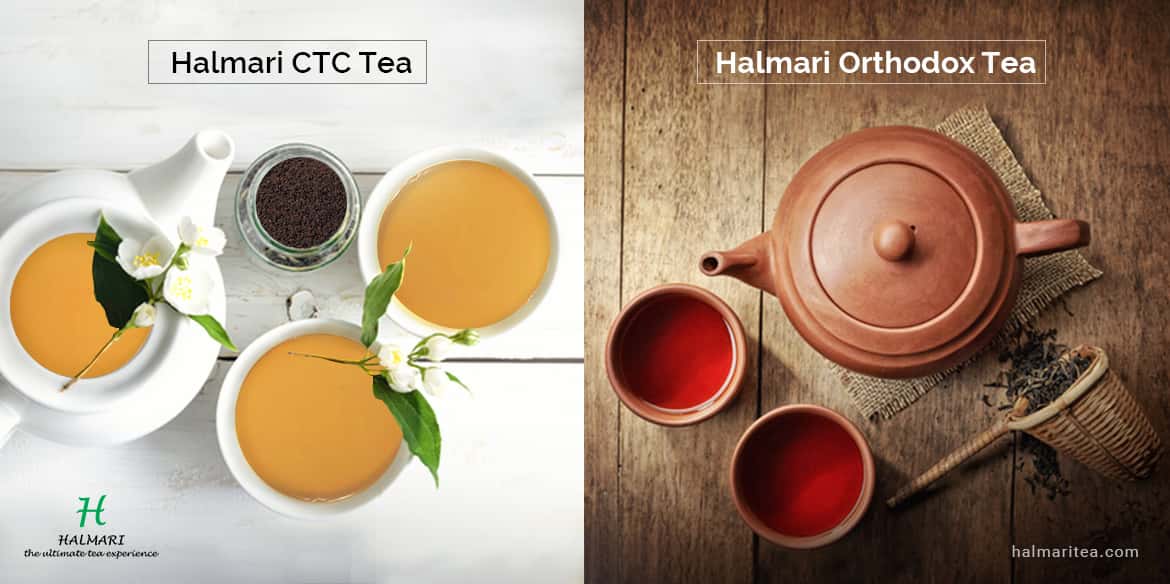 How to Tell if You’re a CTC or Orthodox Drinker with the Small ...